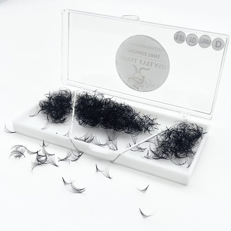Premade Fans 8D ( 1000 fans ) – Royal Eyelash VN